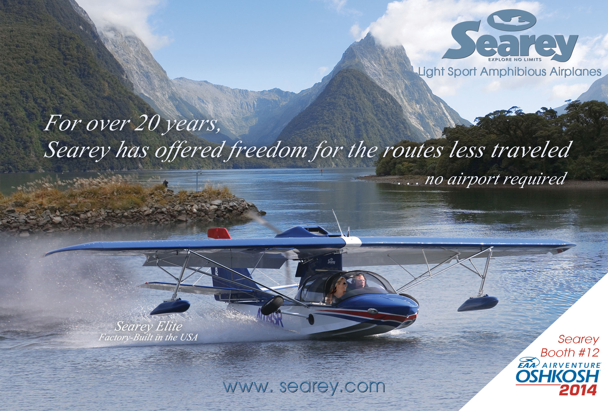 Airplane Advertisement | Diane Rose Portfolio